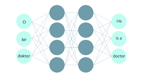 Bias in language translation (article) | Khan Academy