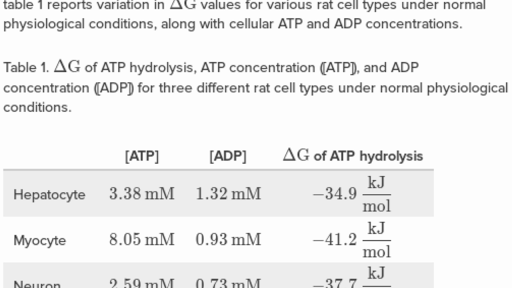 The thermodynamics of ATP hydrolysis in living cells (practice) | Khan ...