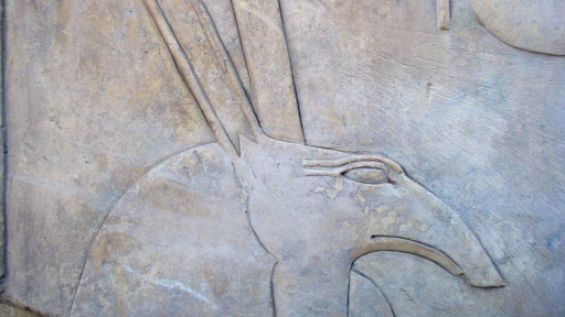 Creation myths and form(s) of the gods in ancient Egypt (article ...