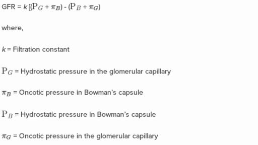 Glomerular Filtration Rate Equation Mcat - Tessshebaylo