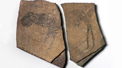 Glossary for AP Content Area 1: Global Prehistory (article) | Khan Academy