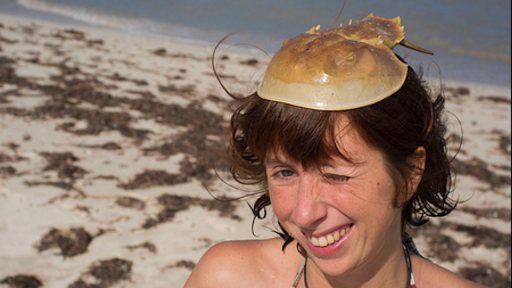 Sarah Northway, Game Maker and Nomad (article) | Khan Academy