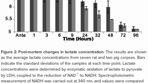 Biochemistry changes that occur after death (practice) | Khan Academy