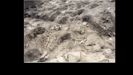 Prehistory before written records (article) | Khan Academy