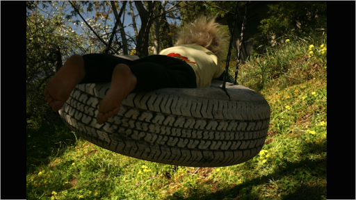 Pressure-volume work (formula for work) (article) | Khan Academy