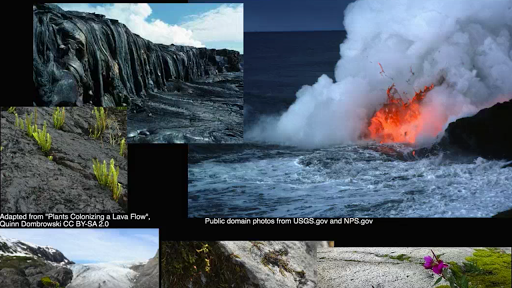 Ecosystem resilience and change (understand) (practice) | Khan Academy