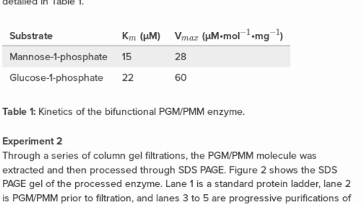 The PMM/PGM enzyme and its substrates (practice) | Khan Academy