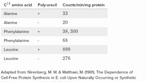 Early experiments on the genetic code (practice) | Khan Academy