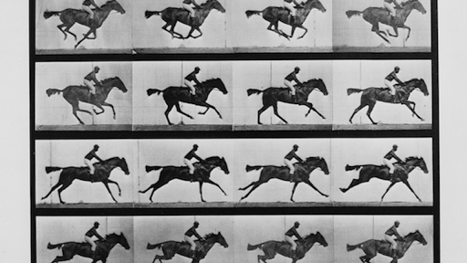 An Introduction to Photography in the Early 20th Century (article ...