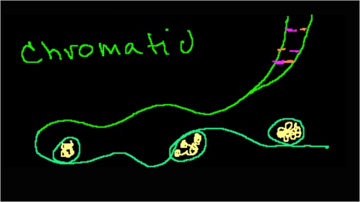 Khan Academy
