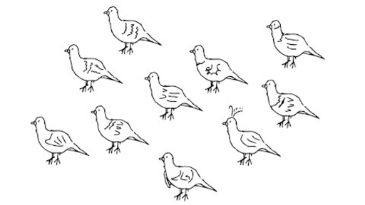 Variation Biology