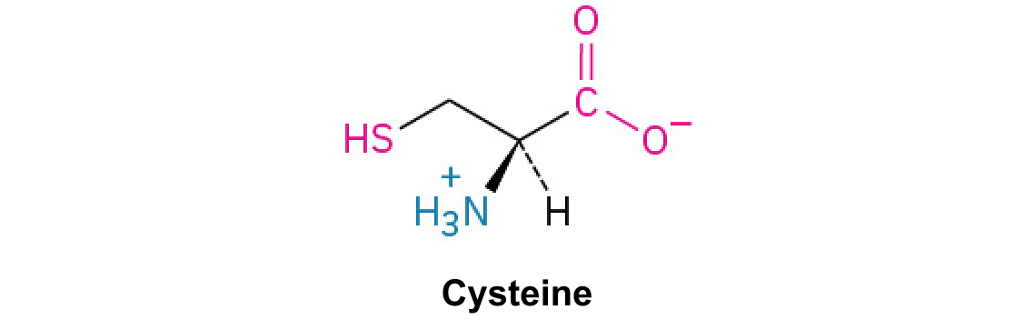 Chirality Cysteine