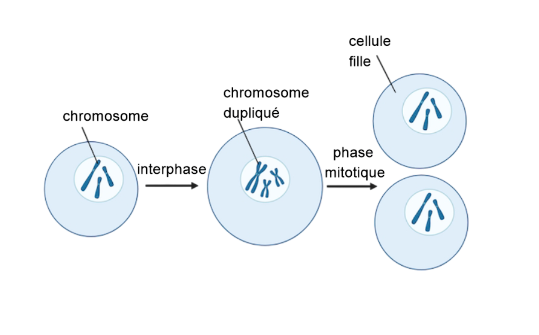 Khan Academy