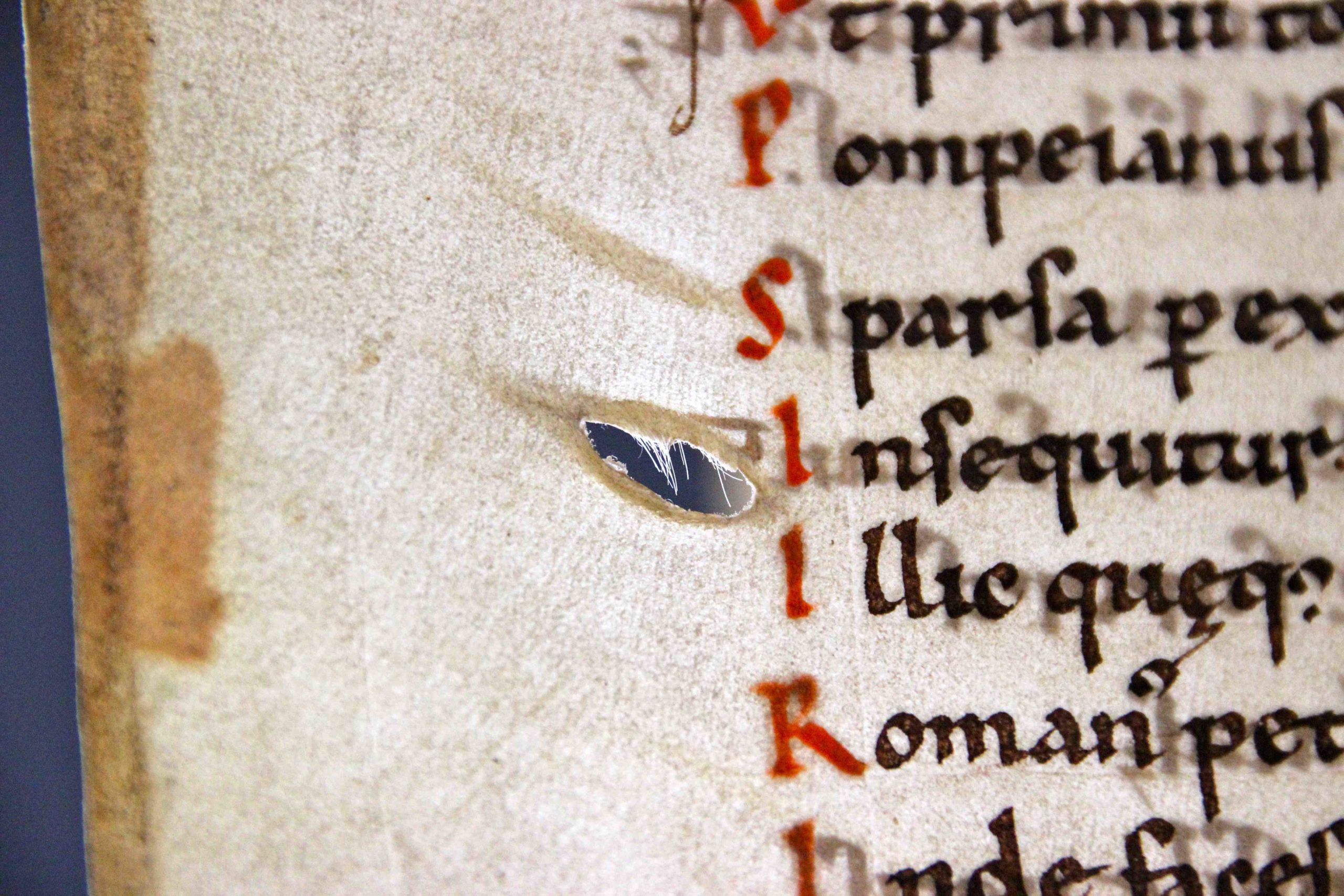 Parchment Writing On Animals