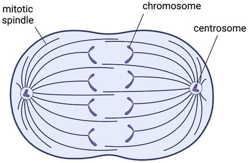 Khan Academy