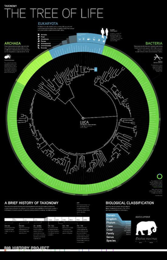 Khan Academy