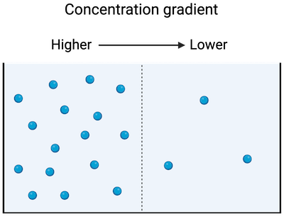 Khan Academy