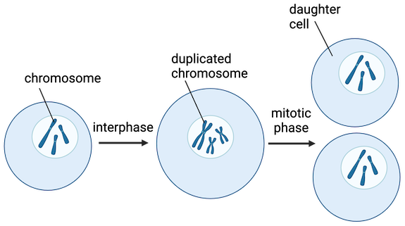 Khan Academy
