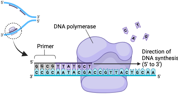Khan Academy