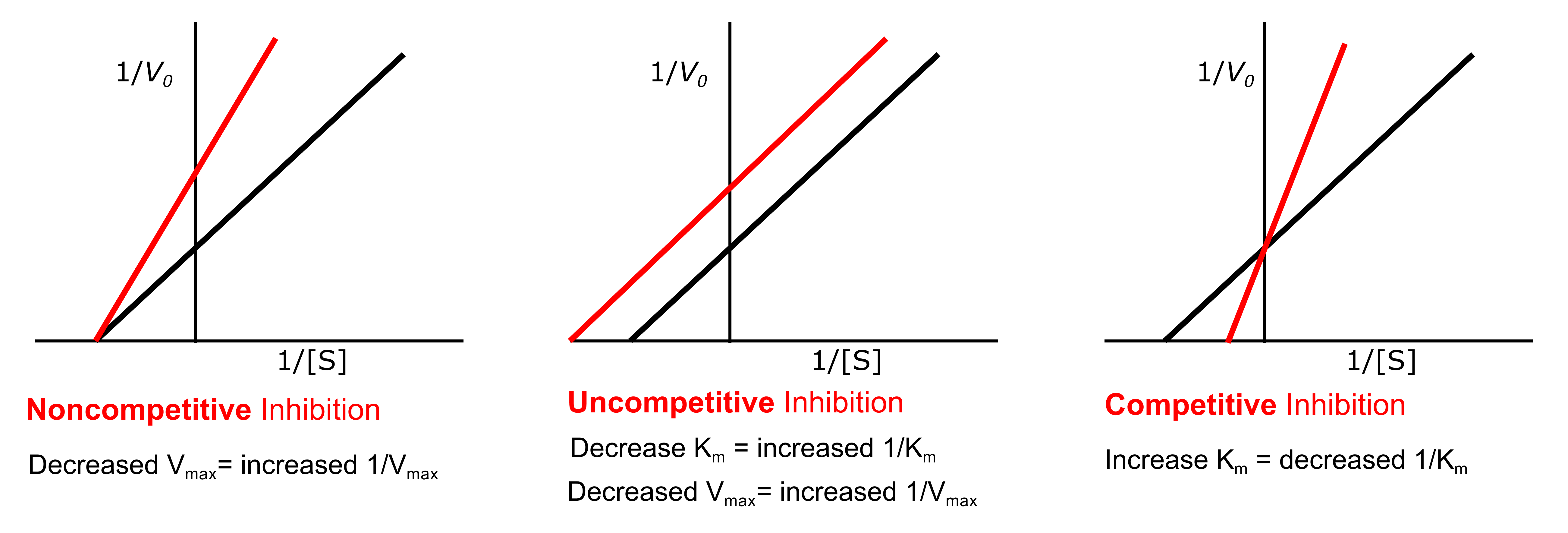 Noncompetitive Vs Uncompetitive Inhibition
