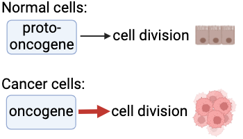 Khan Academy