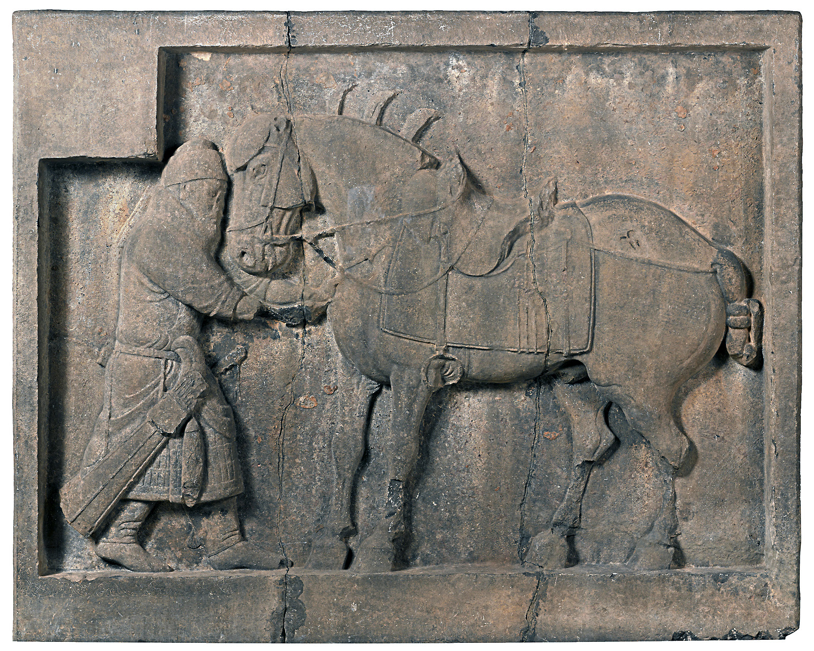 Gan Zhao's Instagram, Twitter & Facebook on IDCrawl