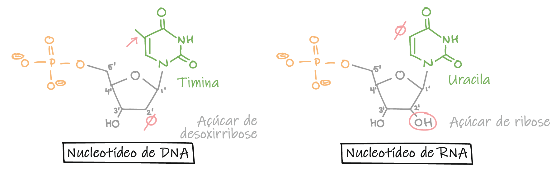 Khan Academy