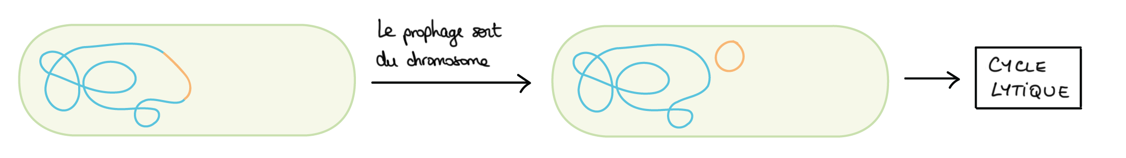 Khan Academy