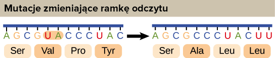 Khan Academy
