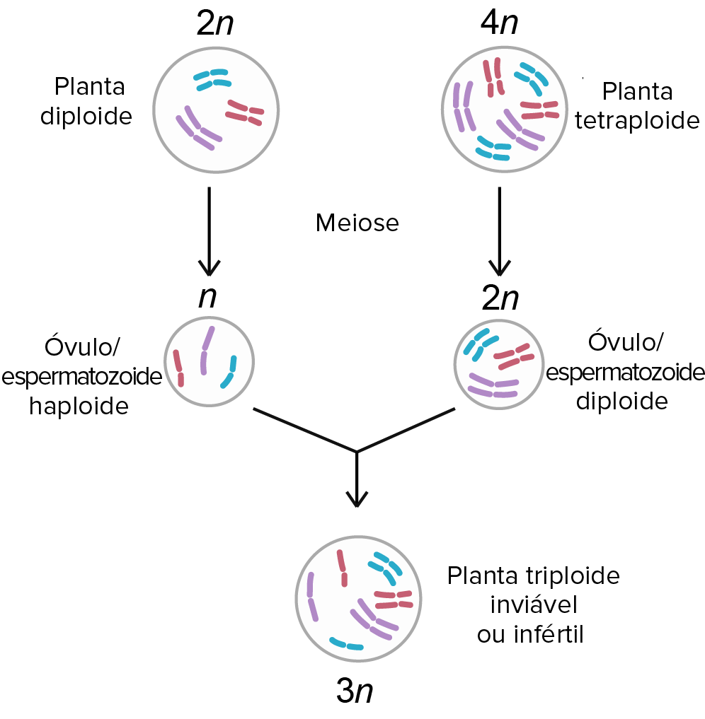 Khan Academy