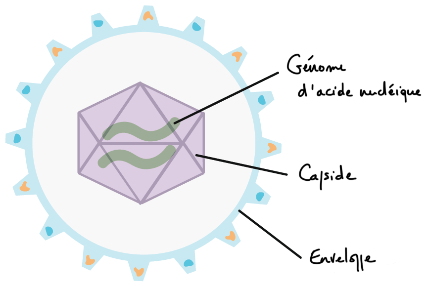 Khan Academy
