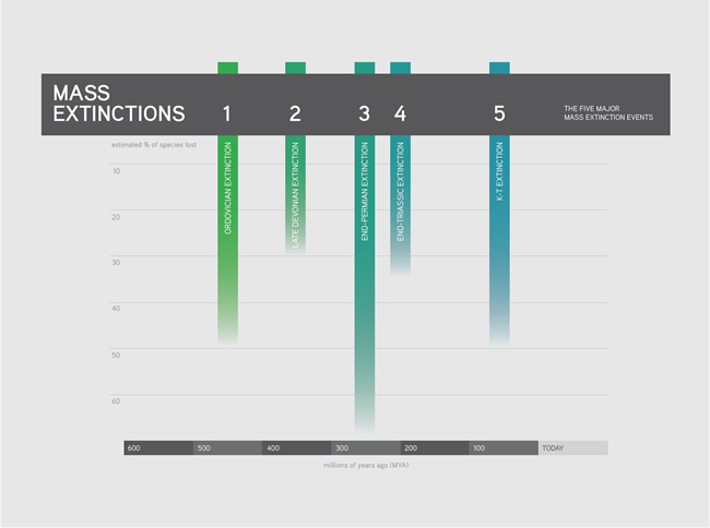 Surviving an Extinction Level Event (article) | Khan Academy
