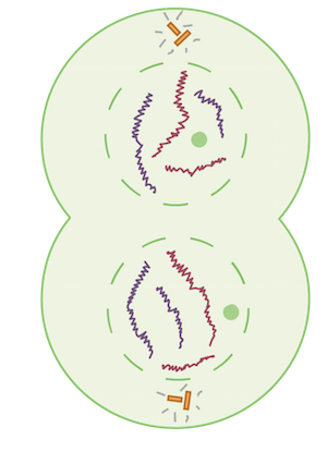 Khan Academy