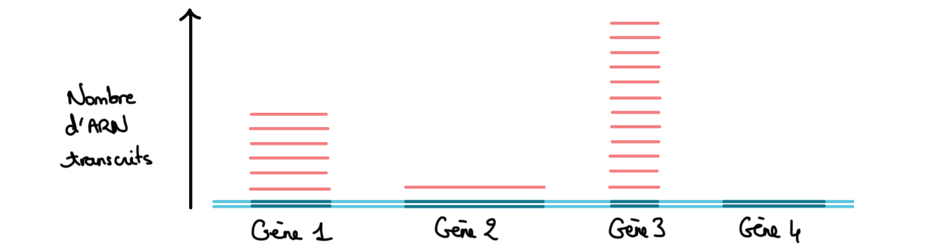 Khan Academy