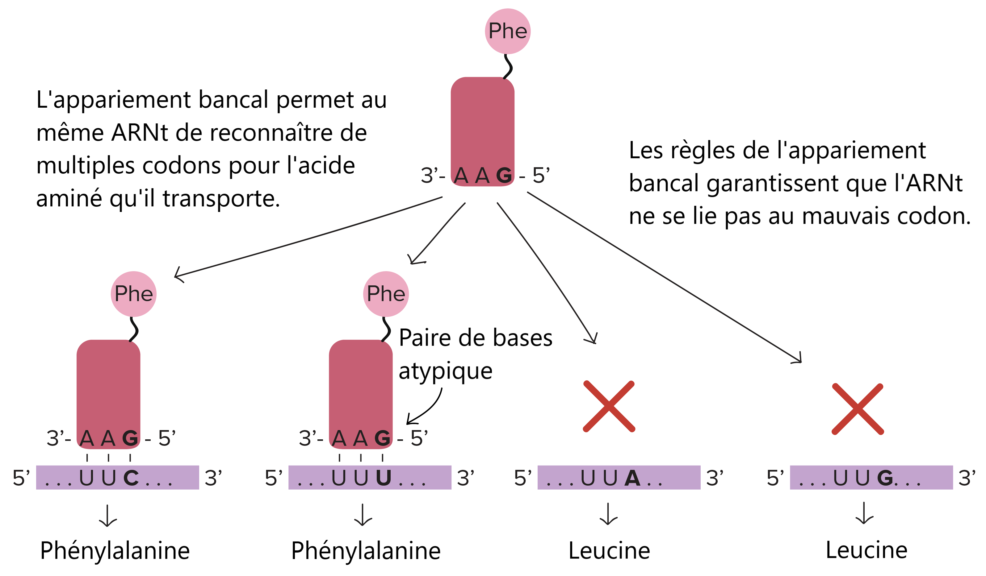 Khan Academy
