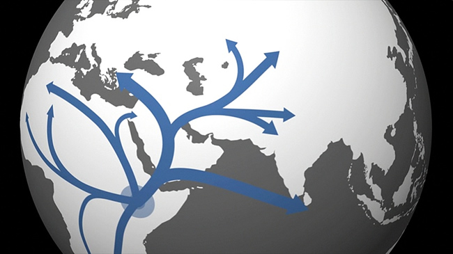 Gallery: How Did the First Humans Live? (article) | Khan Academy