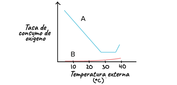 Khan Academy