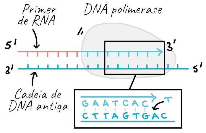Khan Academy
