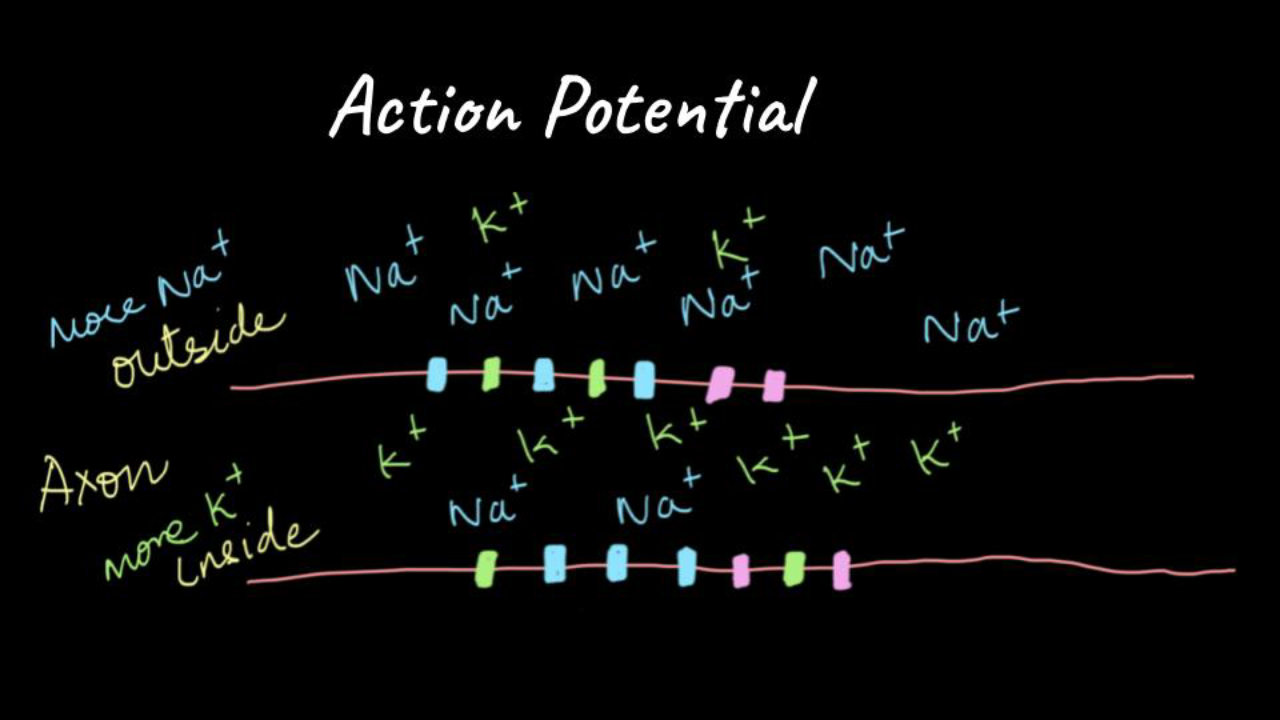 Khan Academy