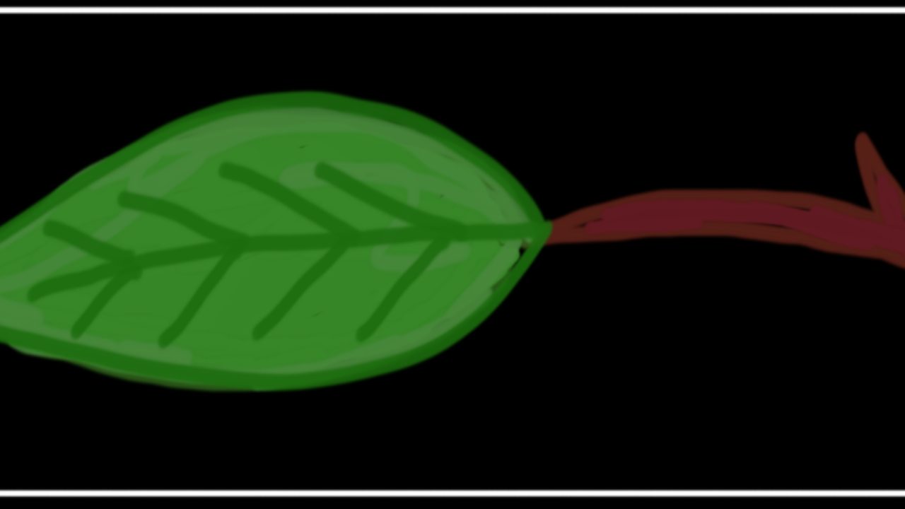 Anatomy of the leaf (practice) | Khan Academy