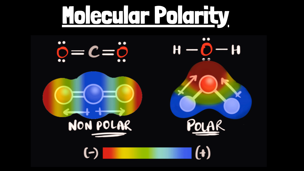 Polarity Definition